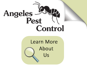 Port Angeles Sequim Pest Control Company - North Olympic Peninsula ...
